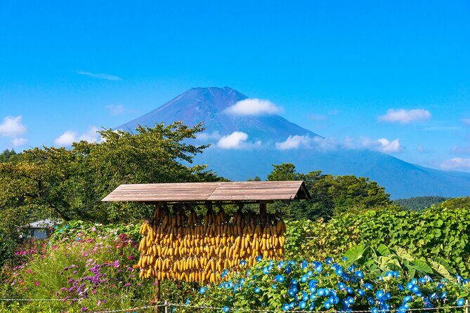 Tokyo Hakone : Mt.Fuji, Owakudani, Open Air Museum, Hakone Shrine - Frequently Asked Questions