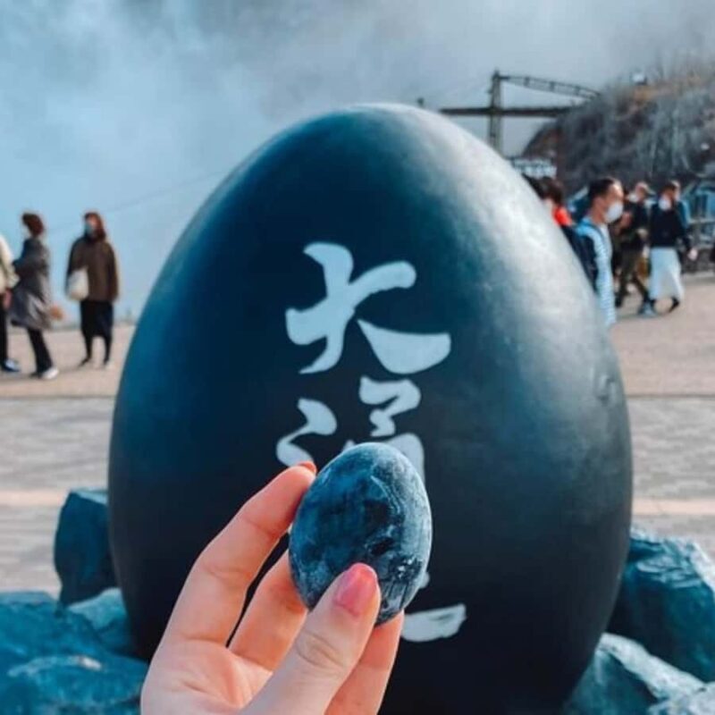 Tokyo: Hakone, Odawara Castle, Lake Ashi Cruise Private Tour - Pricing & Value