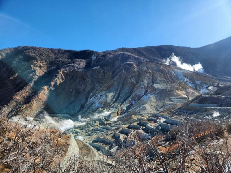 Tokyo : Hakone Onsen Nature & Art Lake Ashi private day tour - An In-Depth Look at the Hakone Day Tour