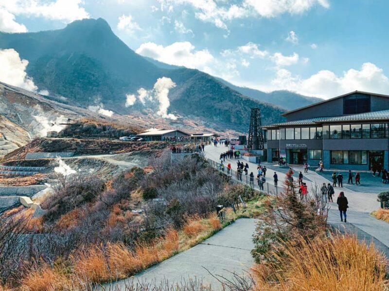 Tokyo : Hakone Onsen Nature & Art Lake Ashi private day tour - The Sum Up