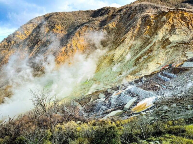 Tokyo: Hakone, Owakudani & Gotemba Premium Outlet 1-Day Tour - Who Should Consider This Tour?
