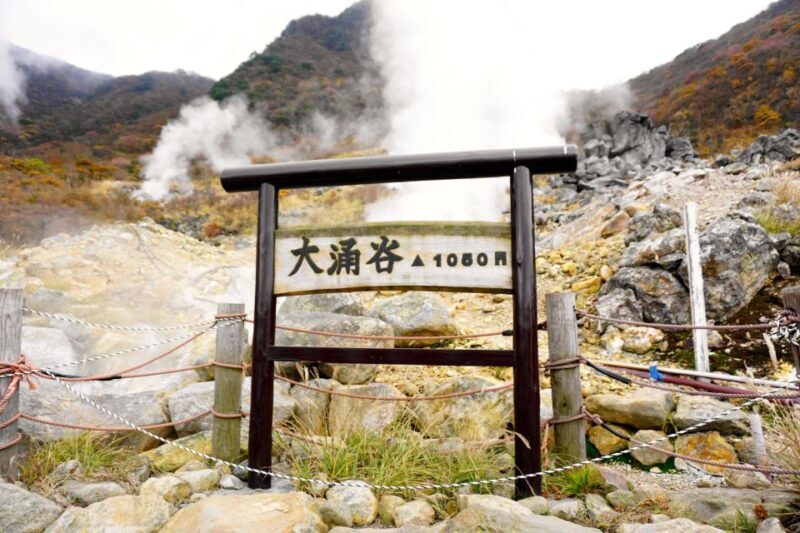 Tokyo: Hakone, Owakudani & Gotemba Premium Outlet 1-Day Tour - FAQs