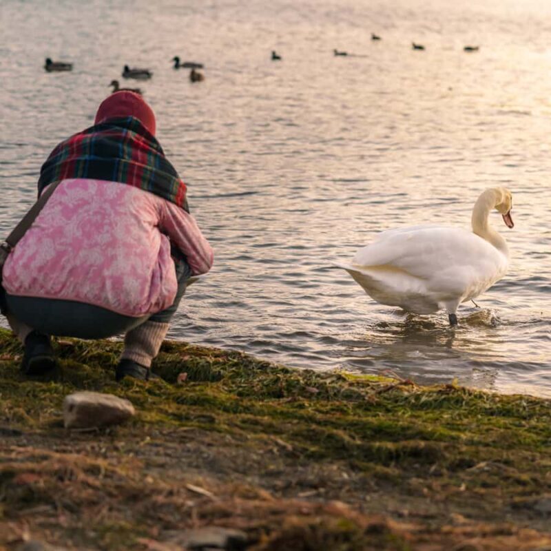 Tokyo: Hakone Private Tour By English Verbal Driver In Prado - FAQ