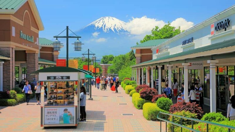 Tokyo: Hakone Private Tour with Spa and Ropeway Ride - The Sum Up: Who Is This Tour Best For?