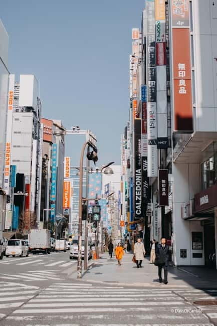 Tokyo, half day : private tour with an expert ! - An In-Depth Look at the Tour Experience