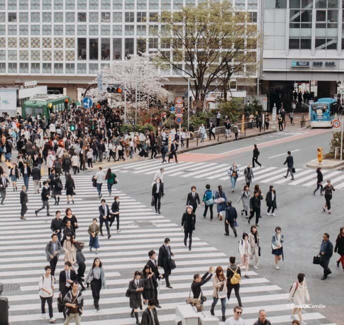 Tokyo, half day : private tour with an expert ! - FAQ