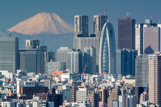 Tokyo: Haneda AirportLuxury Private Transfer - Analyzing the Reviews: What Travelers Say