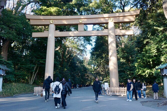 Tokyo Harajuku Meiji Shrine 1 Hour Explanation Tour - Key Points