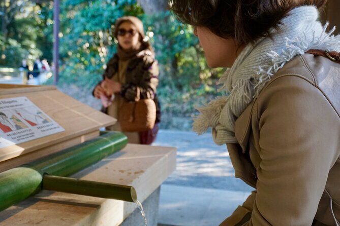 Tokyo Harajuku Meiji Shrine 1 Hour Explanation Tour - Authenticity and Experience Quality