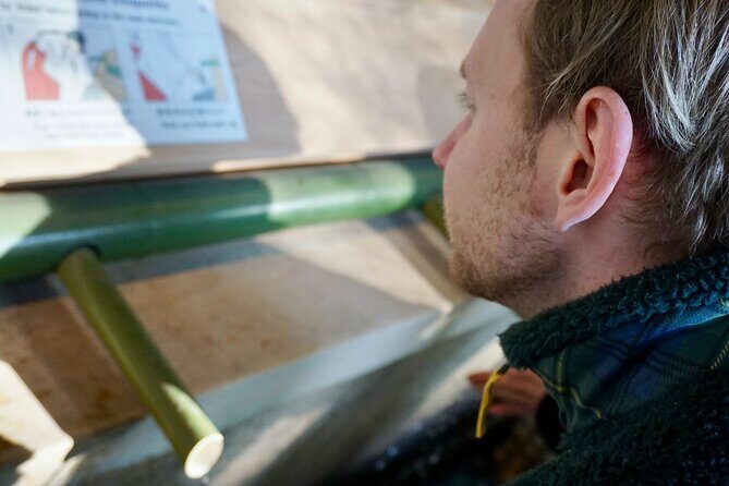 Tokyo Harajuku Meiji Shrine 1 Hour Explanation Tour - Who Will Love This Tour