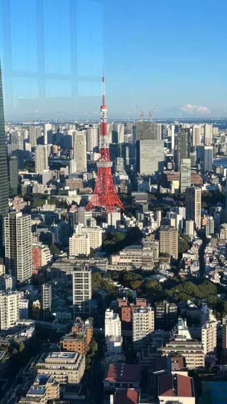 Tokyo: Harajuku, Meiji Shrine, Yoyogi Park & Roppongi Sunset - A Closer Look at the Itinerary