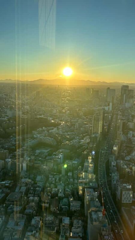 Tokyo: Harajuku, Meiji Shrine, Yoyogi Park & Roppongi Sunset - Who Will Love This Tour?