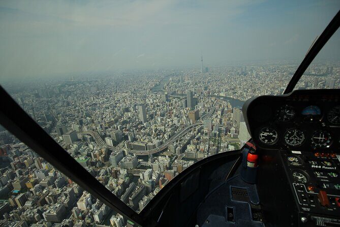 Tokyo Helicopter Cruising - Final Thoughts: Who Should Consider This Experience?