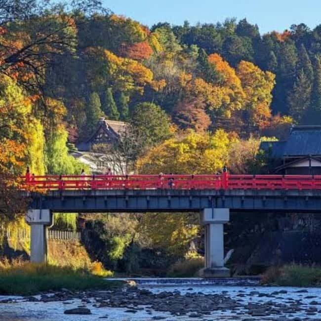 Tokyo: Hida Takayama & Shirakawa-go Day Trip with Guide - Key Points