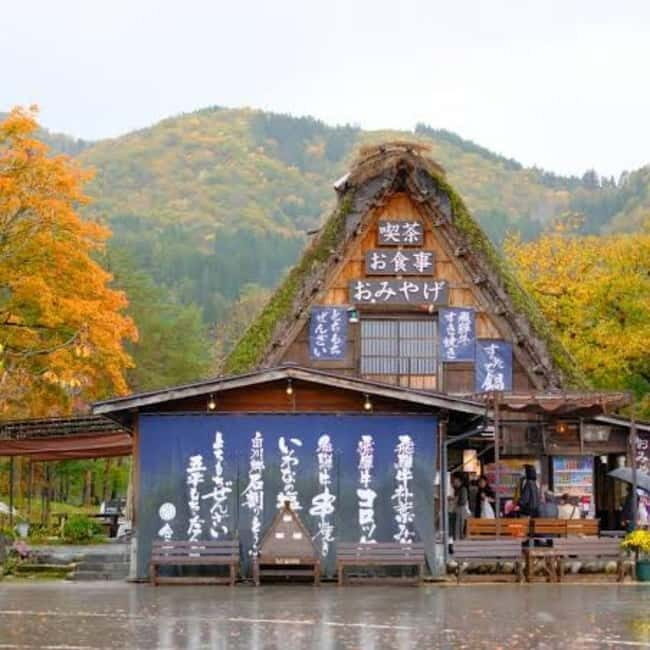 Tokyo: Hida Takayama & Shirakawa-go Day Trip with Guide - The Sum Up