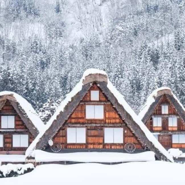 Tokyo: Hida Takayama & Shirakawa-go Day Trip with Guide - Frequently Asked Questions