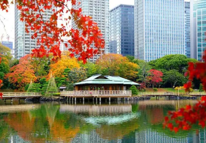 Tokyo Hidden Gems Sumo & Local Streets Day Tour - A Day in the Life: The Itinerary Breakdown