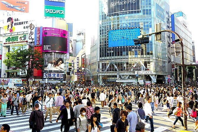 Tokyo Highlight Private Tour by Car with English Speaking Driver - An In-Depth Look at the Tour Experience