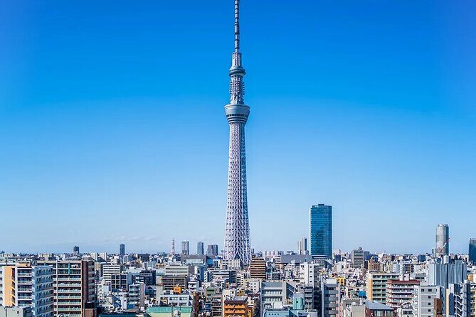 Tokyo Highlights: 1-Day Private Van Tour with Hotel Pick-Up - Exploring Tokyo in a Day: A Practical Review of the Private Van Tour