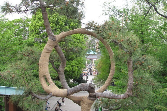 Tokyo highlights, Asakusa, Ueno, Yanaka Walking - A Deep Dive into the Tokyo Highlights, Asakusa, Ueno, Yanaka Walking Tour