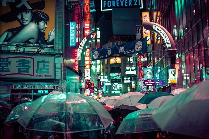 Tokyo Highlights Private Full Day City Tour With English Guide - Practical Considerations