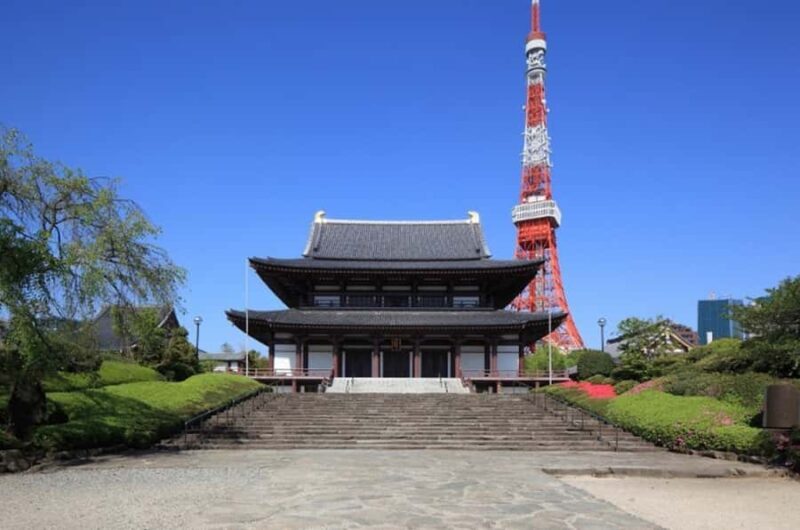 Tokyo Highlights Private Tour: Market, Temples & Skyline Day - Who Will Love This Tour?