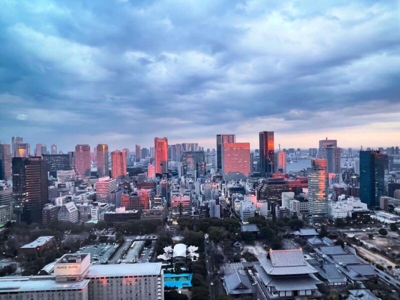 Tokyo Highlights Tour: Sumo, Sushi, Tea, and Tokyo Tower - What the reviews say