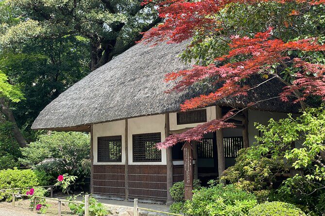 Tokyo Historian and Photographer Private Tour - Exploring Tokyo with a Historian and Photographer