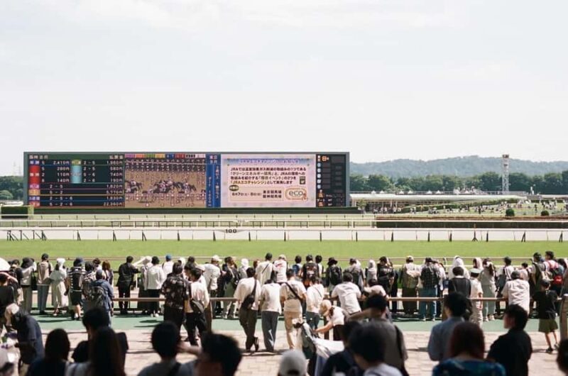 Tokyo: Horse Racing Experience with Local Fan - Key Points