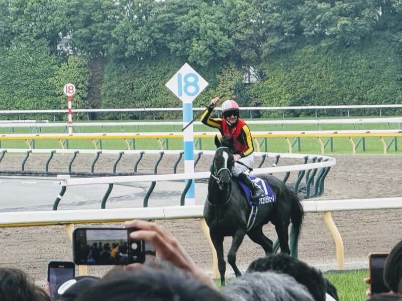 Tokyo: Horse Racing Experience with Local Fan - An In-Depth Look at the Experience