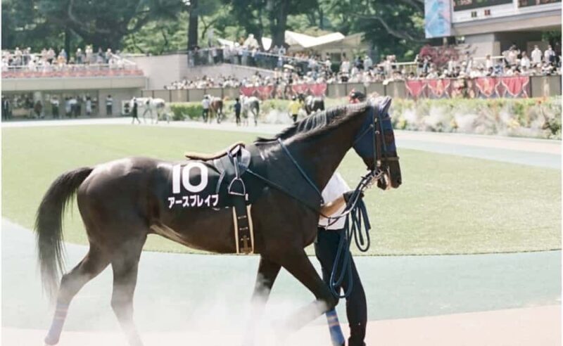 Tokyo: Horse Racing Experience with Local Fan - FAQ