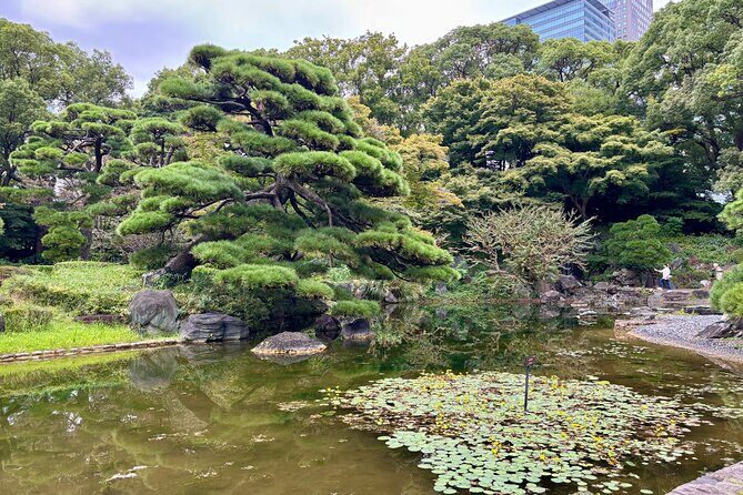 Tokyo: Imperial Palace and Edo Castle Ruins Cultural Walking Tour - FAQ