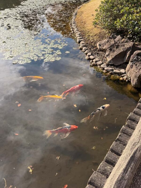 Tokyo: Imperial Palace and Ishibashi bridge walking tour - Authentic Experiences and Hidden Gems