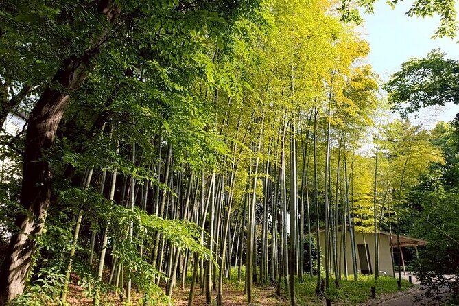 Tokyo: Imperial Palace and Shogun Historical Walking Tour - Key Points