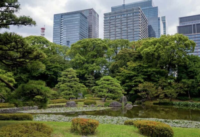 Tokyo: Imperial Palace, Edo Castle Ruins & Samurai Secrets - Comparing Similar Tours