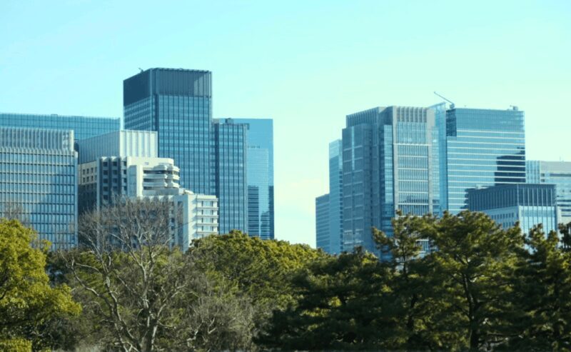 Tokyo: Imperial Palace Japanese History Walking Tour - Practical Information
