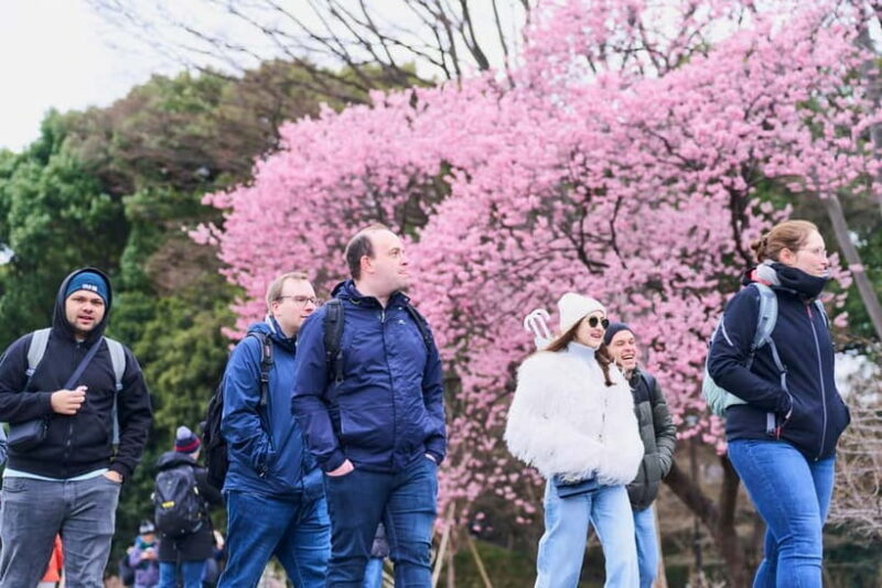 Tokyo: Imperial Palace & Tokyo Castle History Walking Tour - A Close Look at the Itinerary and Highlights