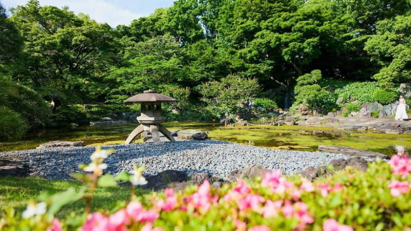 Tokyo: Imperial Palace & Tokyo Castle History Walking Tour - What Could Be Improved