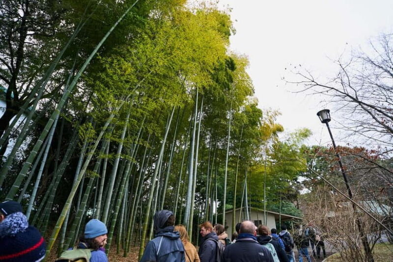 Tokyo: Imperial Palace & Tokyo Castle History Walking Tour - Summary: Who Should Sign Up?