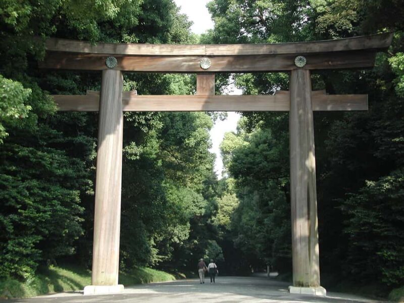Tokyo in a Day: Meiji Shrine, Shibuya, and Shinjuku - Who Should Consider This Tour?