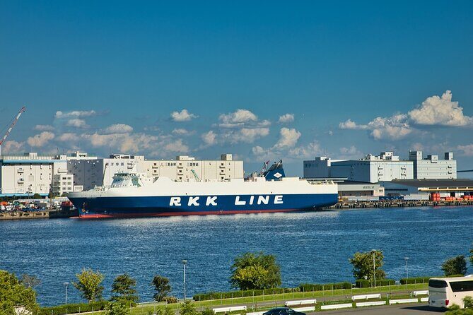 Tokyo in a Day : Private Tour to Shrine, Temples, Towers &Culture - An In-Depth Look at the Tokyo in a Day Tour