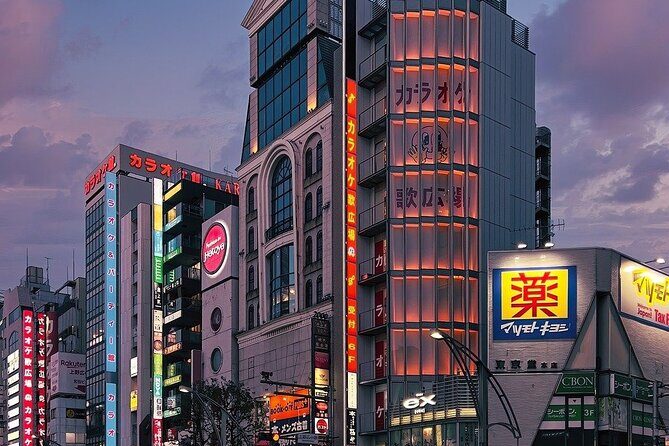 Tokyo in a Day : Private Tour to Shrine, Temples, Towers &Culture - The Sum Up: Is It Worth It?