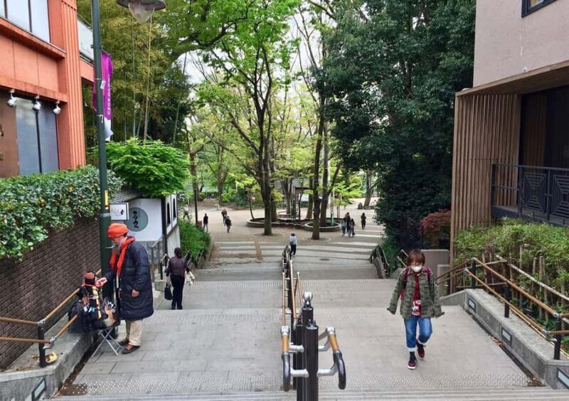 Tokyo: Inokashira Park and Zoo Guided Walking Tour - A Walk Through Peaceful Nature and Cultural Roots