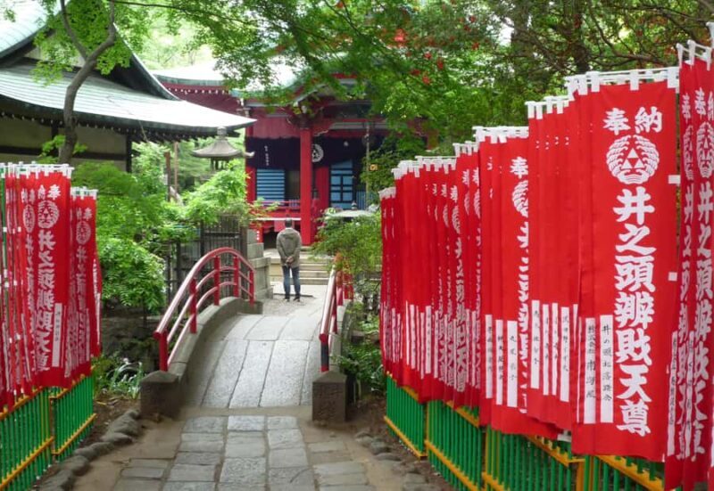 Tokyo: Inokashira Park and Zoo Guided Walking Tour - Visiting Inokashira Park Zoo: A Hidden Gem