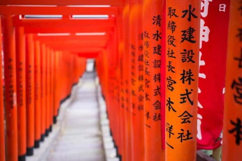 Tokyo: Instagram Highlights Tour with Licensed Guide - Who Will Love This Tour?