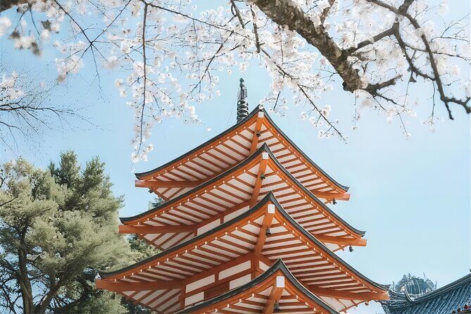 Tokyo: Instagram-Worthy Mt Fuji & Lake Kawaguchiko Day Trip - Practical Details & Value