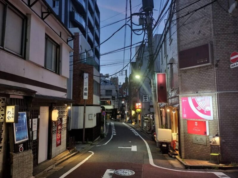 Tokyo: Izakaya Tour in Shinjuku Arakicho with Local Guide - Final Thoughts: Who Should Sign Up?