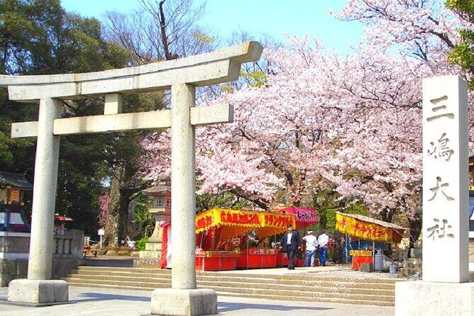 Tokyo: Izu Cherry Blossoms, Mishima Skywalk & Strawberry Picking - Key Points