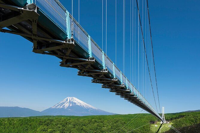 Tokyo: Izu Cherry Blossoms, Mishima Skywalk & Strawberry Picking - The Sum Up