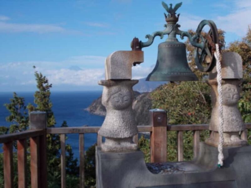 Tokyo: Izu Peninsula Fun Diving and Sightseeing Tour - The Practicalities